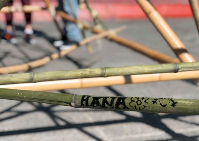 200 Hands | Giant Grass