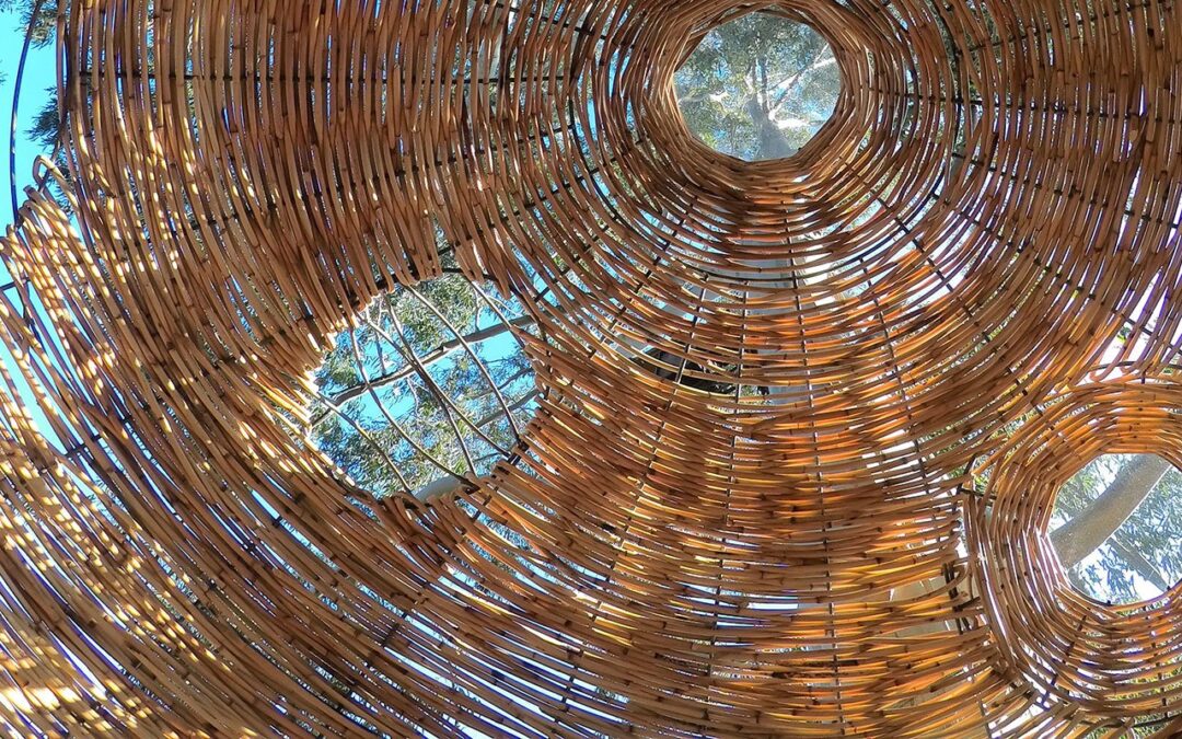 Woven Windows Header Giant Grass 
