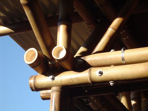 The challenge of connecting bamboo | Giant Grass