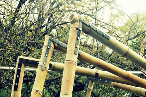 The challenge of connecting bamboo | Giant Grass