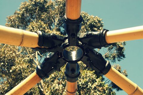 The challenge of connecting bamboo | Giant Grass