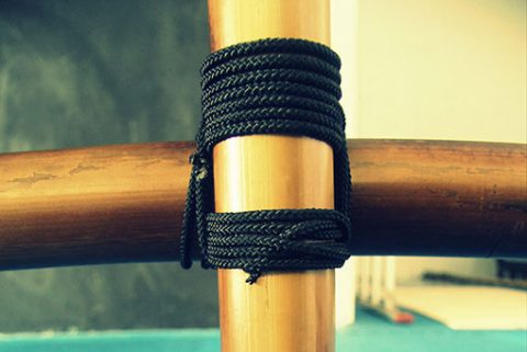 The challenge of connecting bamboo | Giant Grass