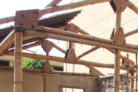 The challenge of connecting bamboo | Giant Grass