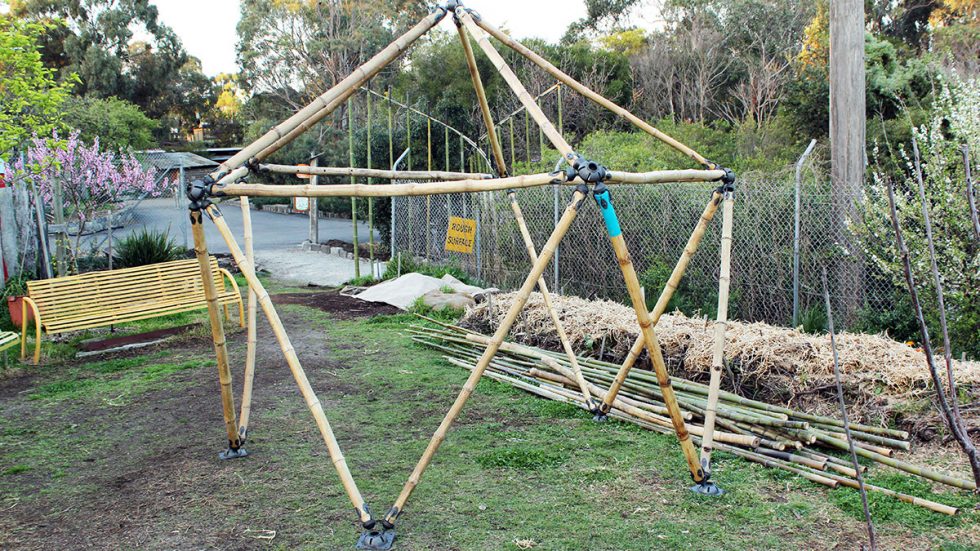 The challenge of connecting bamboo | Giant Grass